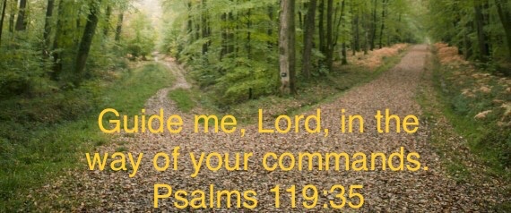 Guide me, Lord, in the way of your commands. Psalms 119:35 | One Walk